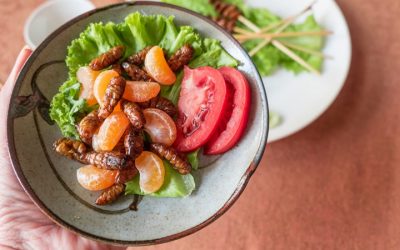 Masonja / Mopani / Mopane Worm Recipes – The Best African Dried Moth ...