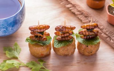 Masonja / Mopani / Mopane Worm Recipes – The Best African Dried Moth ...