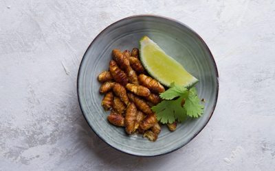 Masonja / Mopani / Mopane Worm Recipes – The Best African Dried Moth ...